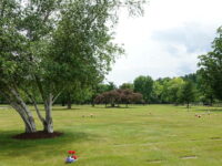 Burial Options - White Haven Memorial Park